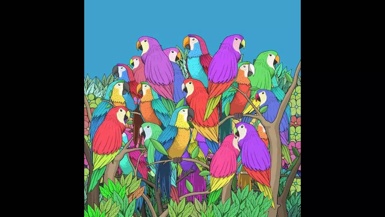 Optical illusion: A butterfly is hiding among the parrots, can you spot ...