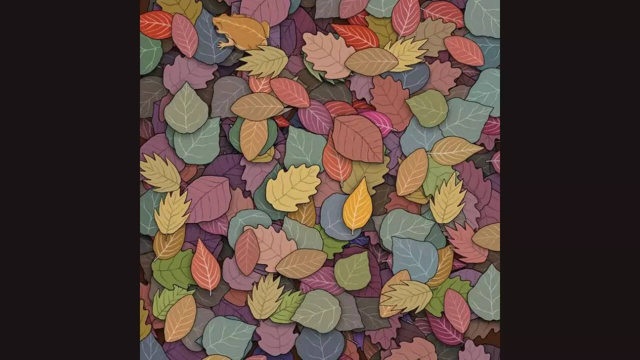 Optical illusion: There is a frog hiding among the leaves, can you spot ...