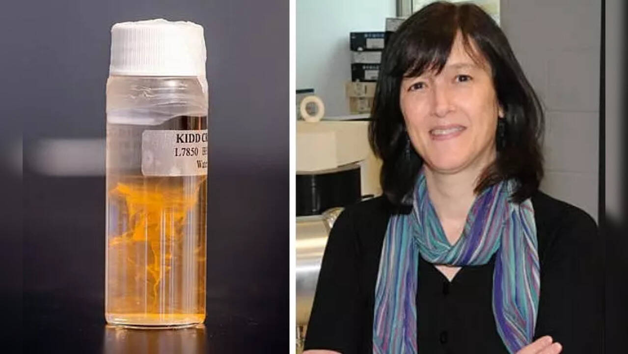 Scientist discovers water believed to be 2.6 billion-years old water in ...