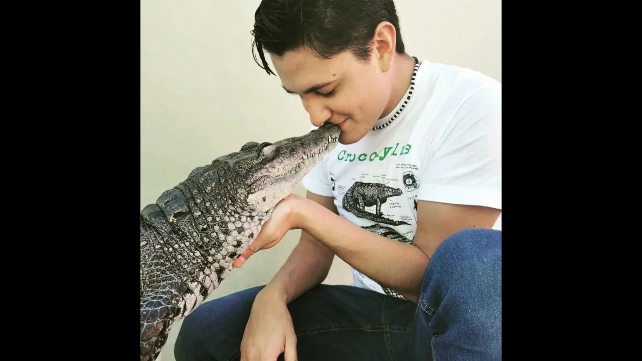 Man has a pet crocodile that acts like a dog and sleeps with him ...
