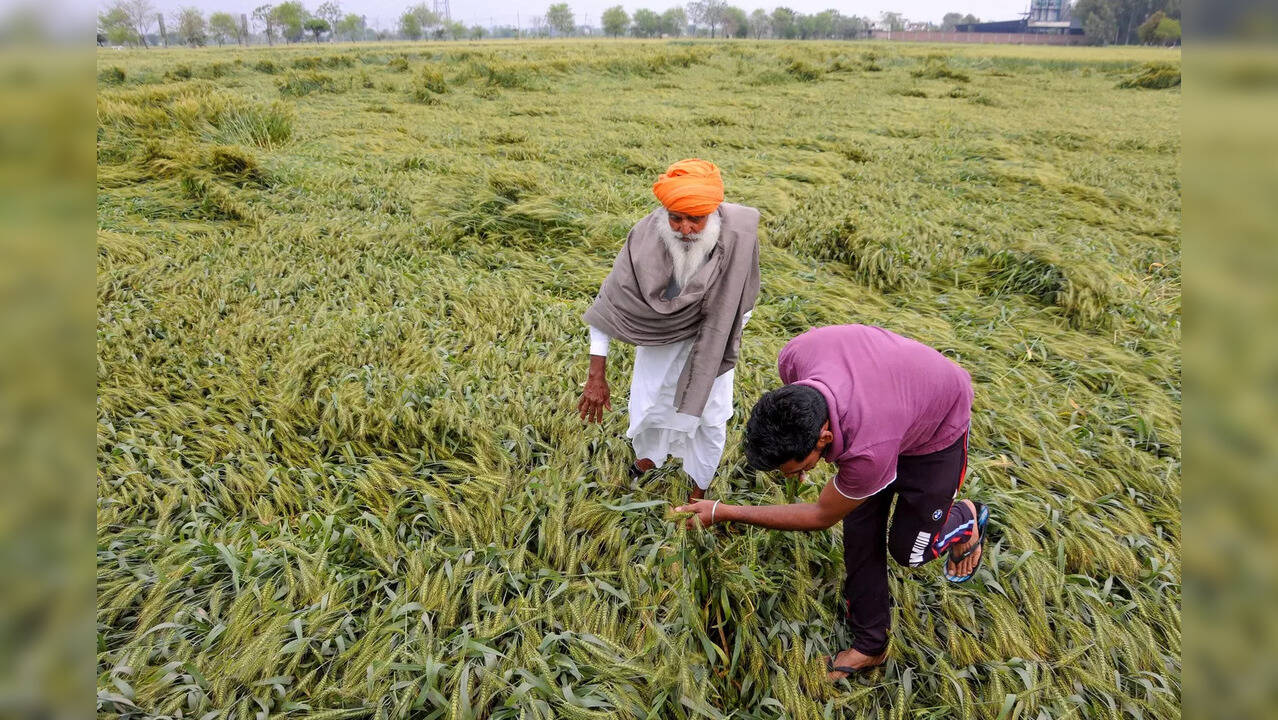 Unseasonal rain & crop damage: Clouds gather over RBI's fight against ...