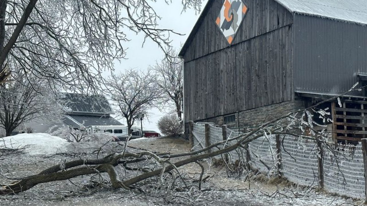 Ice Storm Disrupts Normal Life in Canada; Two dead, Over a Million ...