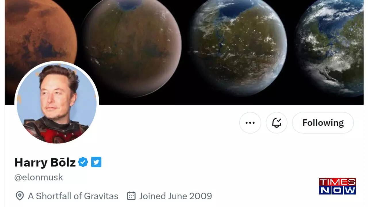 Elon Musk's Latest Twitter Antics: Who or What is Harry Bolz ...