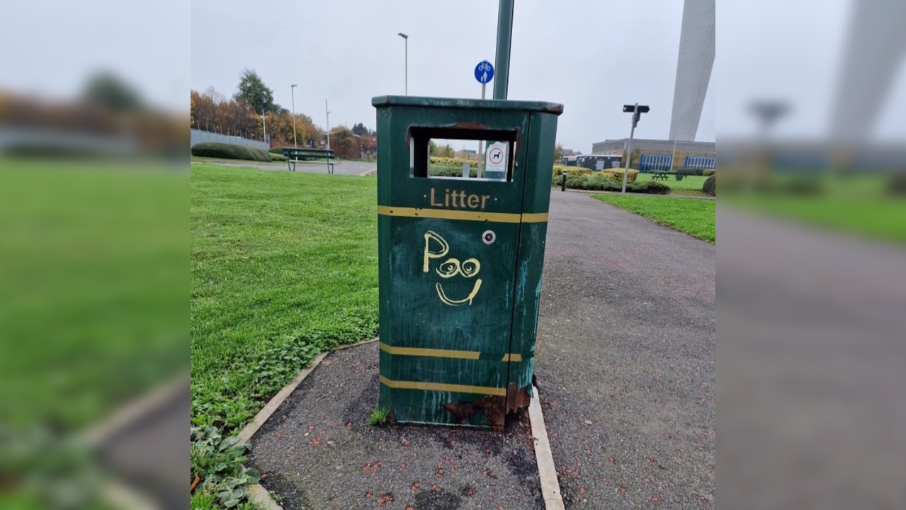 Binstagram | An Insta Account Has Become An Unlikely Hit By Posting ...