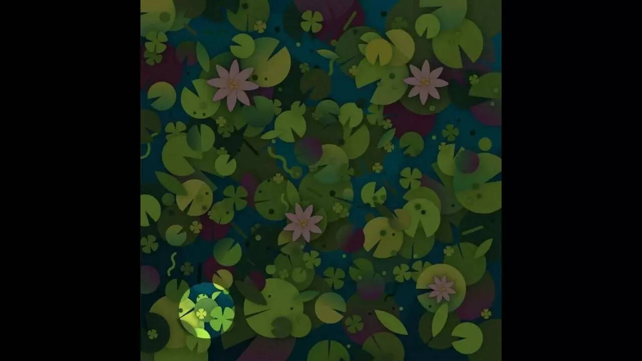 Optical Illusion: Only a Genius Can Spot the Hidden Turtle in 20 ...