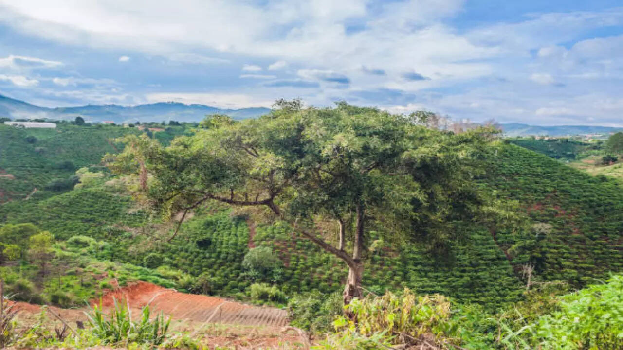 Experience the Best of Nature: Top 5 Hill Stations to Explore Near ...