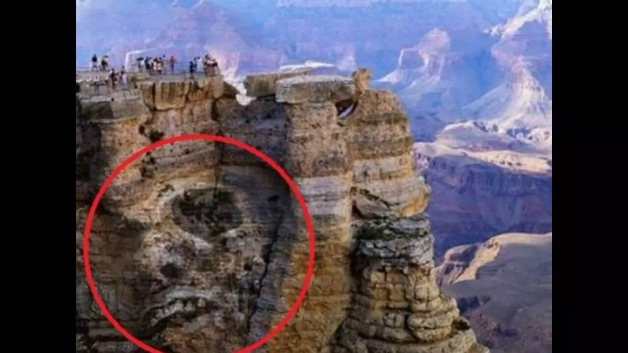 This Optical Illusion Challenges You To Find The Hidden Skull In The ...