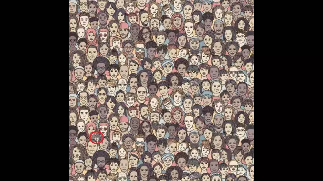 Optical Illusion: There Is A Cat Hiding In The Image. Can You Spot It ...