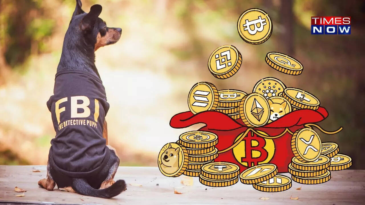 FBI Strikes Back: 9 Crypto Exchanges Busted in Ransomware Laundering ...