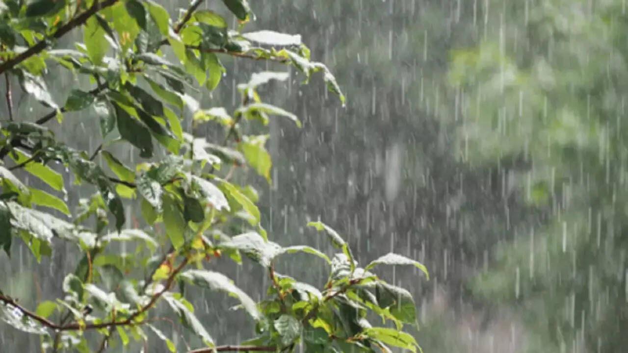 Cyclone Mocha: How First Cyclonic Storm of 2023 Get Its Name After ...