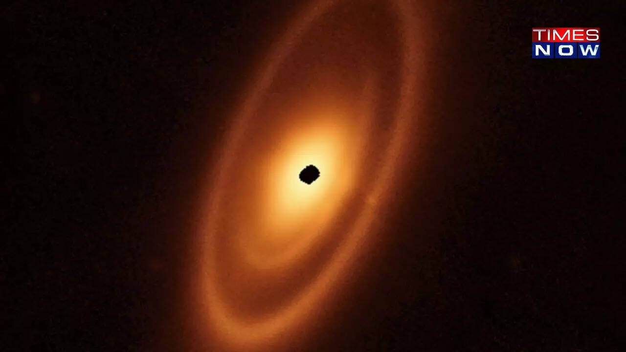 James Webb Space Telescope Discovers Amazing Dust Rings Around Distant ...