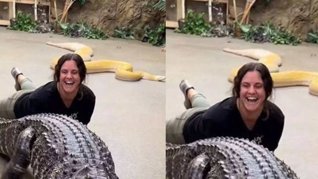 Fearless Woman Crawls Beside Snake And Alligator In Viral Video | Times Now