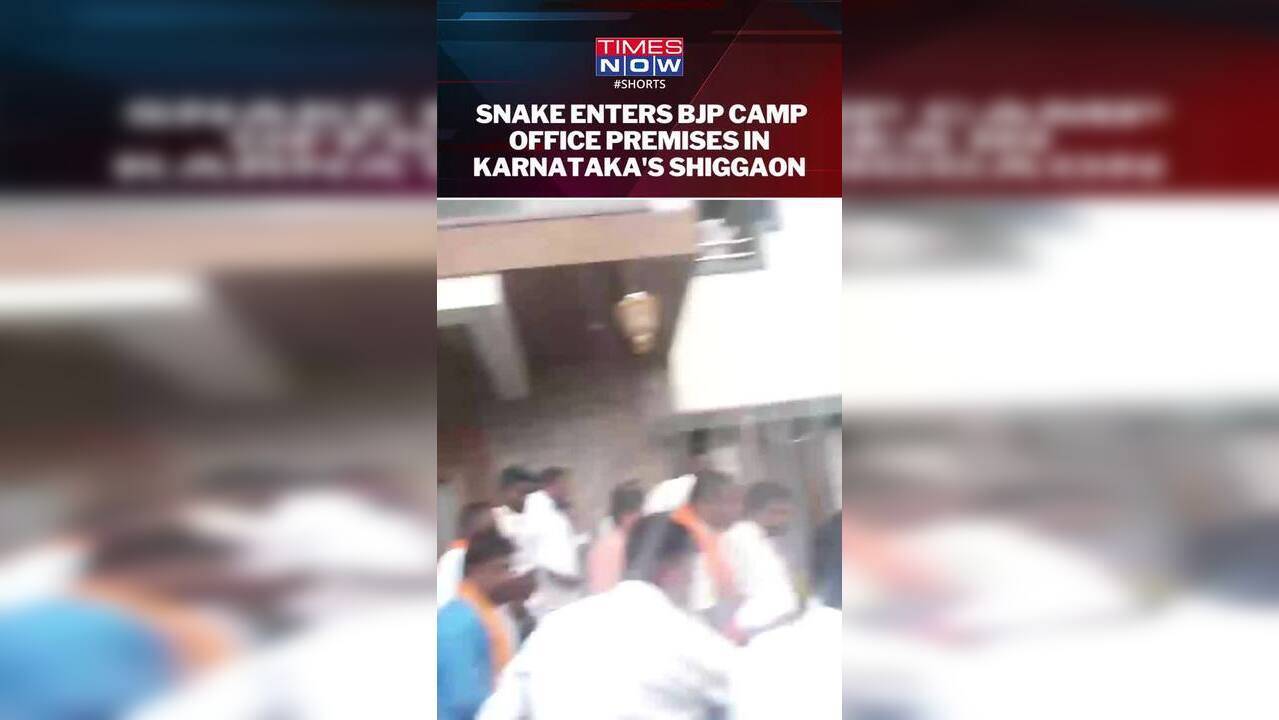 Karnataka Polls: Snake Enters BJP's Camp Office Premises In Shiggaon Amid CM Bommai's Presence