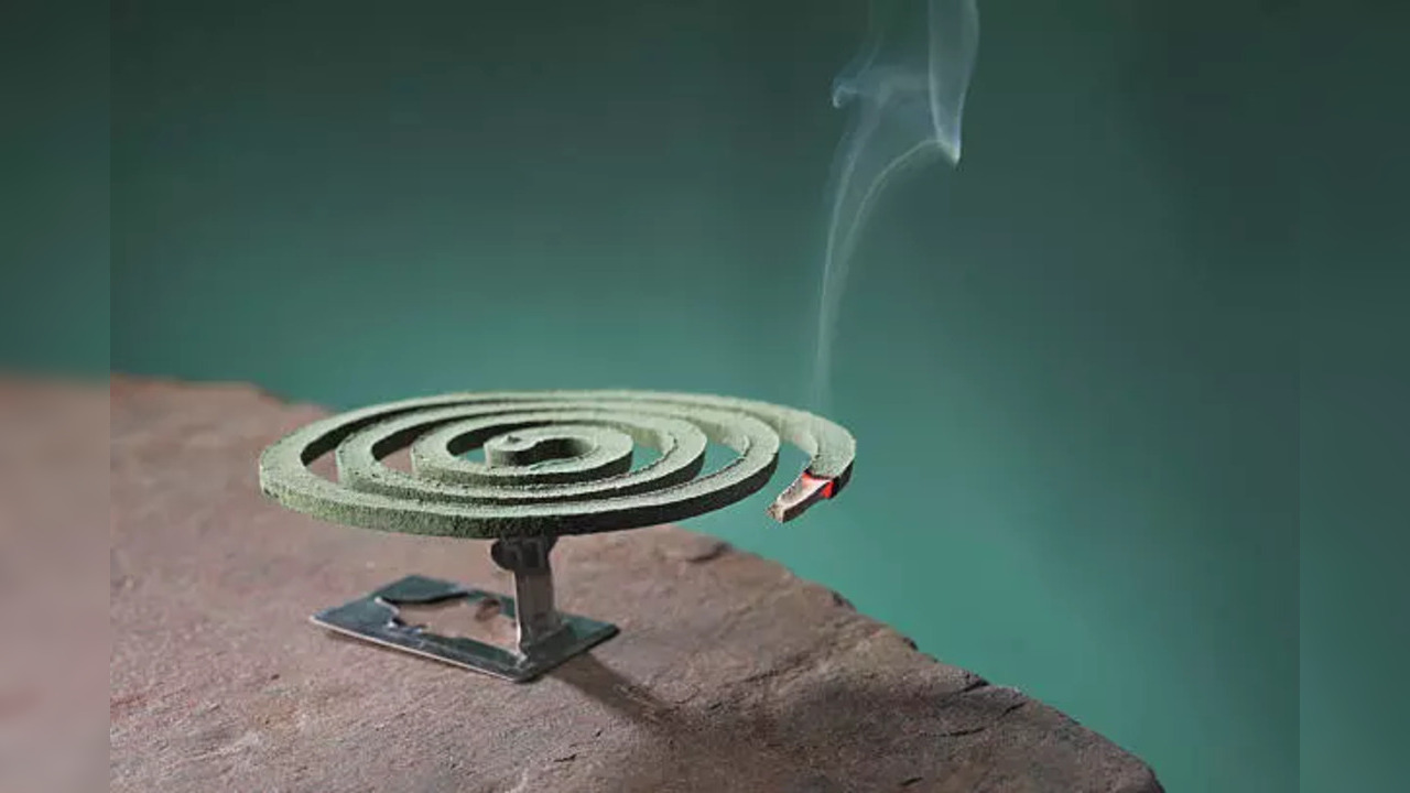 Attention! Study Says Exposure To Mosquito Coils Is More Dangerous Than ...