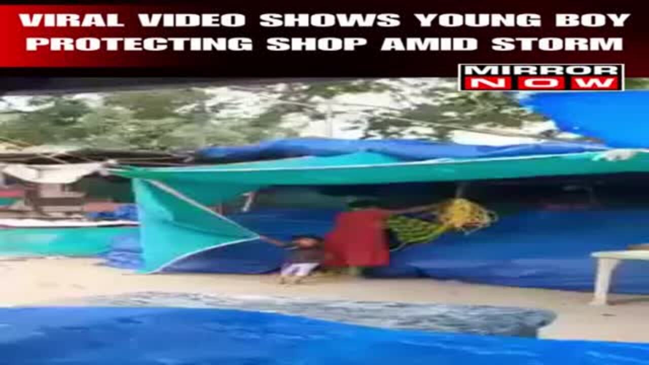 Viral Video | Little Boy Protects Shop Amid Storm, Inspires Netizens