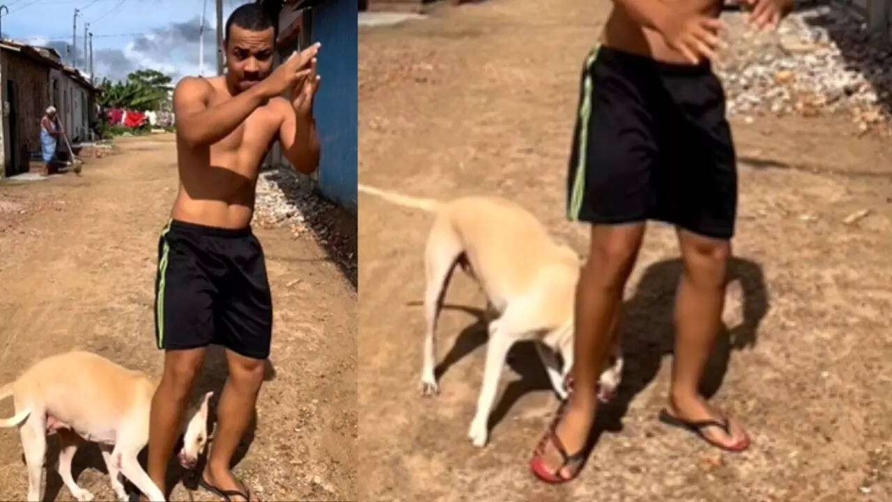 Viral Video | Man Dances Confidently As Dog Bites His Leg, Netizens ...