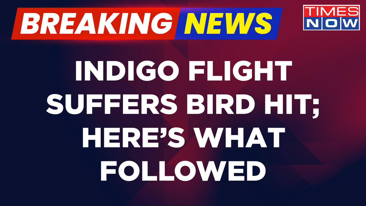 Breaking News | Indigo Flight Bound To Dubai Suffers Bird Hit On Runway ...