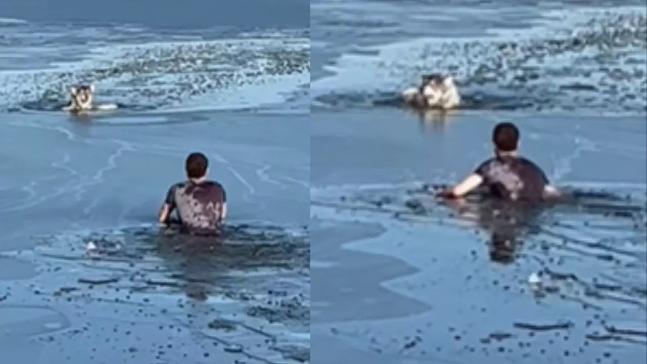 Viral Video | Man Jumps Into Frozen Lake To Save His Drowning Dog ...