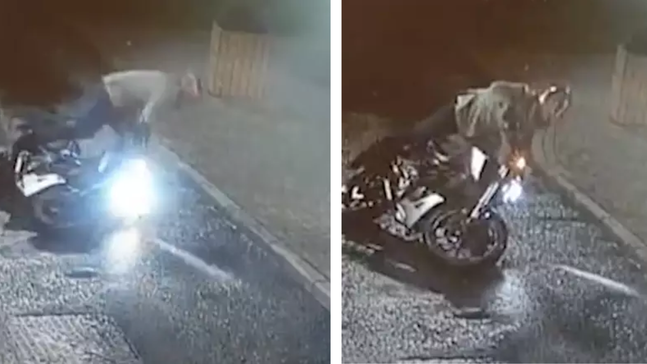 Drunk Driver Falls Off Bike While Ordering Food At McDonald's Drive ...