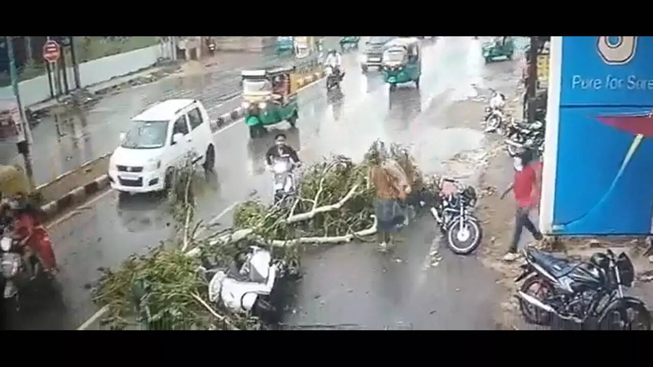 Video: Tree Falls On Moving Scooter in Rajasthan's Jodhpur Amid Gusty ...