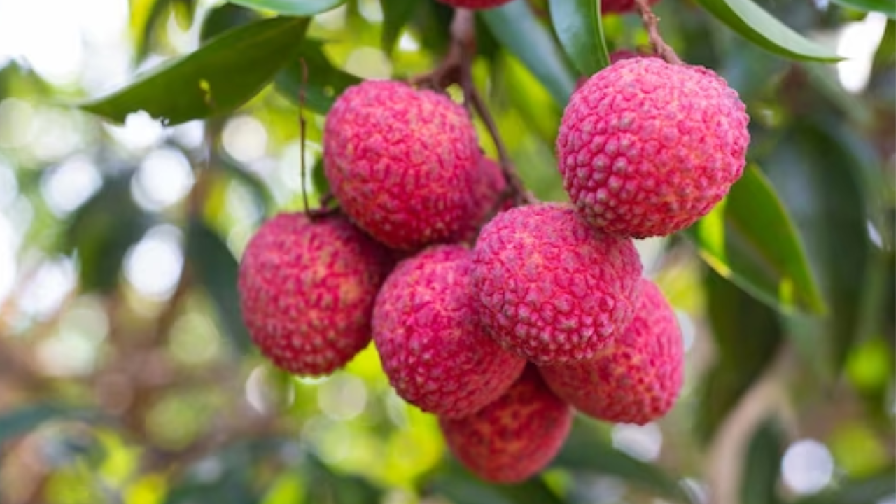 How To Store Litchi In Fridge For Long Time – VIDEO | Lifestyle News ...