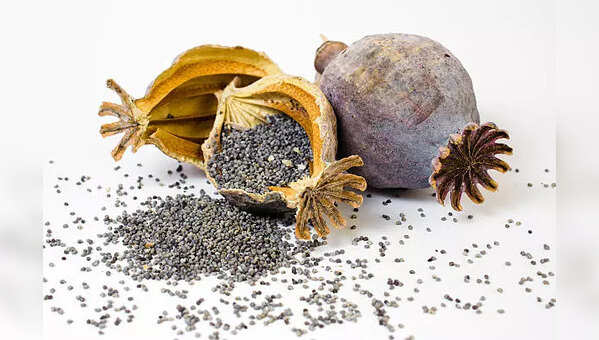 Poppy Seeds: Know Health Benefits Of This Culinary Powerhouse That ...