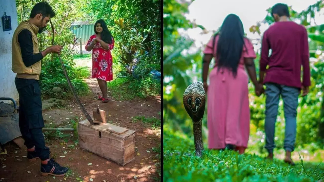 Pre-Wedding Photoshoot Featuring Snake Tells Couple’s Unusual Backstory ...