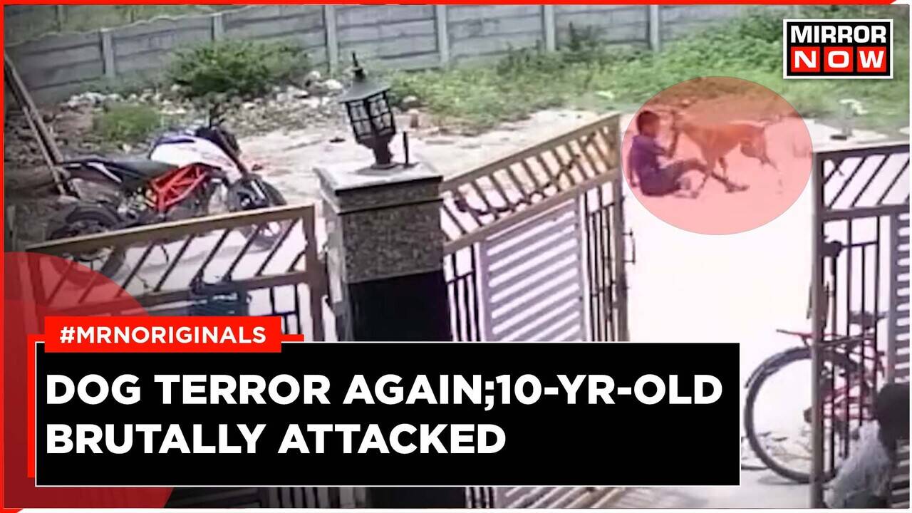 Hyderabad Dog Attack | Viral Video Shows Brutal Attack On A Minor By ...