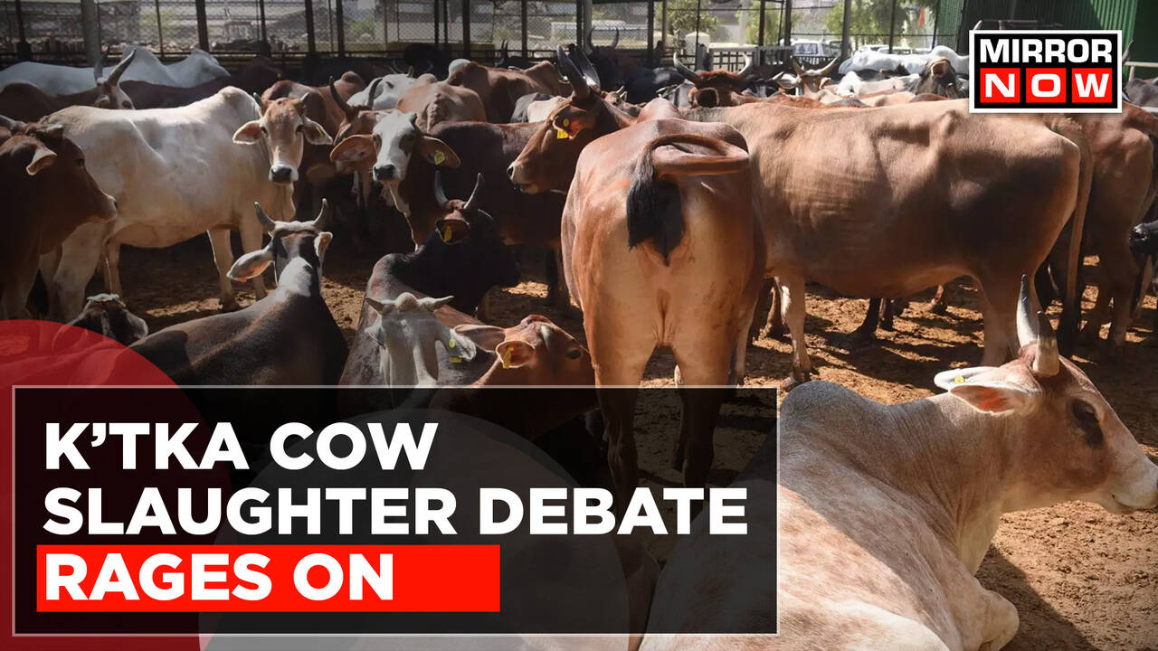 Karnataka Cow Slaughter Debate | BJP Threatens State-Wide Stir After ...