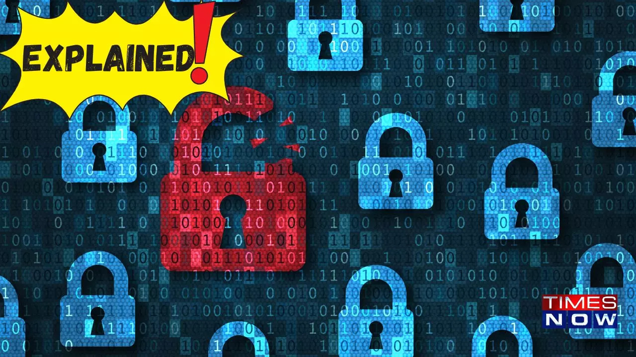 MOVEit or Lose it: Unmasking the File Transfer Vulnerability Being ...