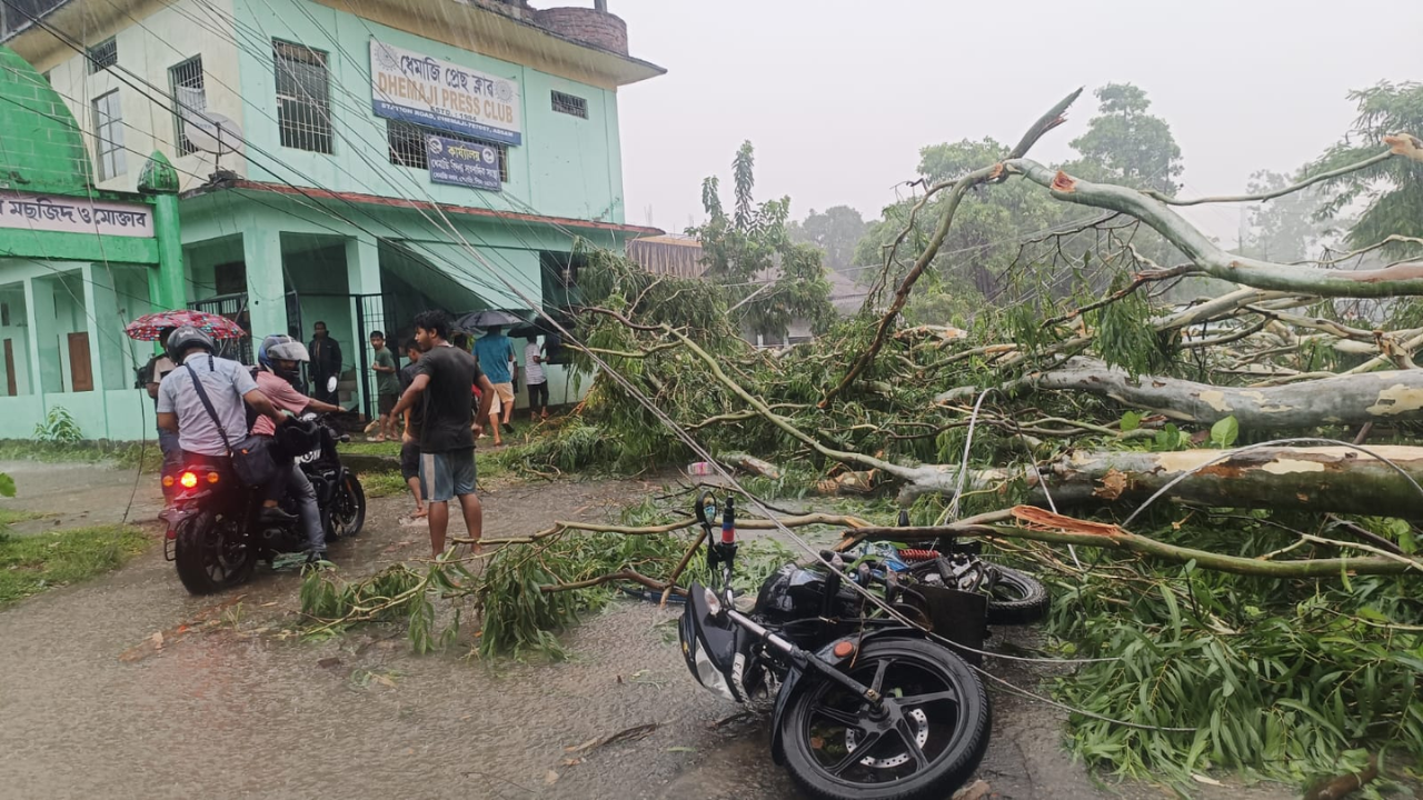 Assam: Massive storm lashes Dhemaji, leaves 1 dead | India News, Times Now