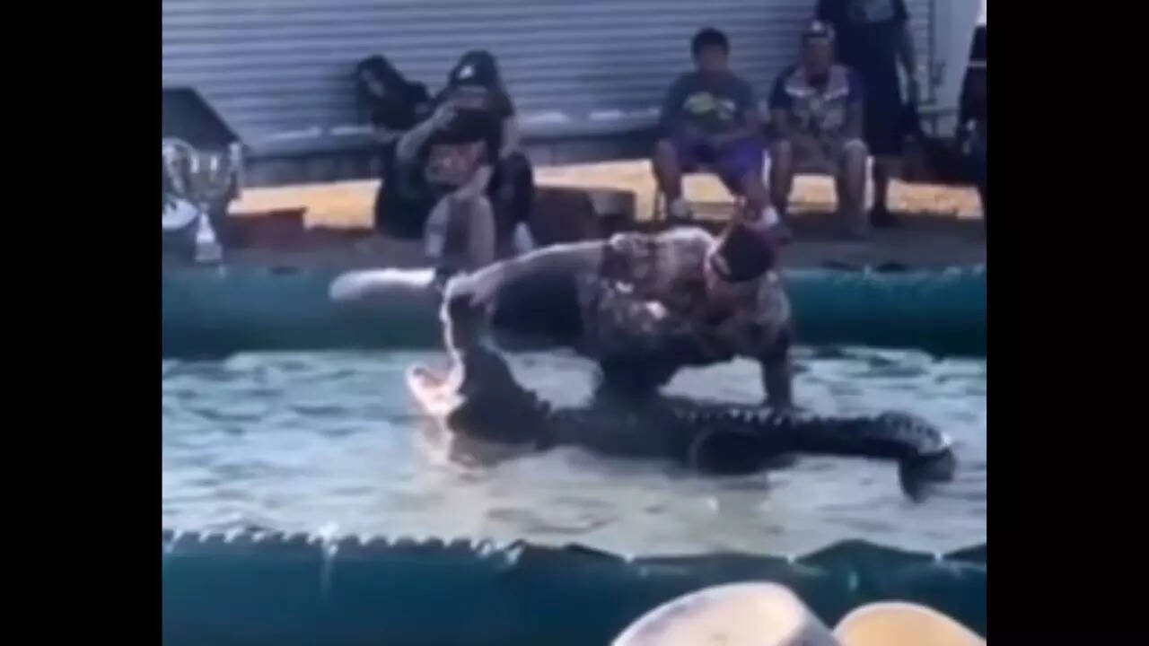 Viral Video | Man Teases Crocodile, Puts His Foot Next To Its Mouth And ...