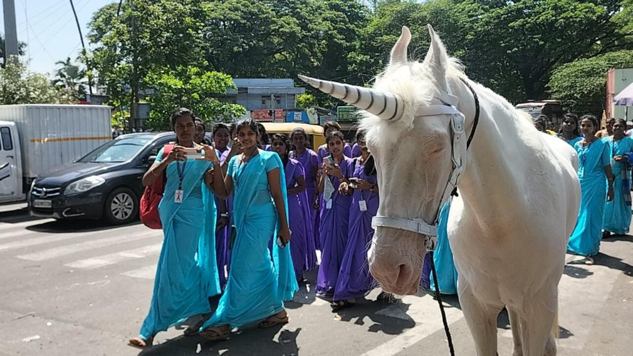 Unicorn Spotted In India? Video Of Horse With Fake Horn Goes Viral ...
