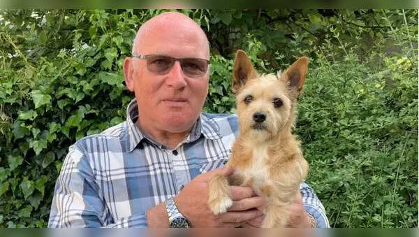 63-Year-Old Man Dug Free By His Hero Dog After Tree Falls On Him ...