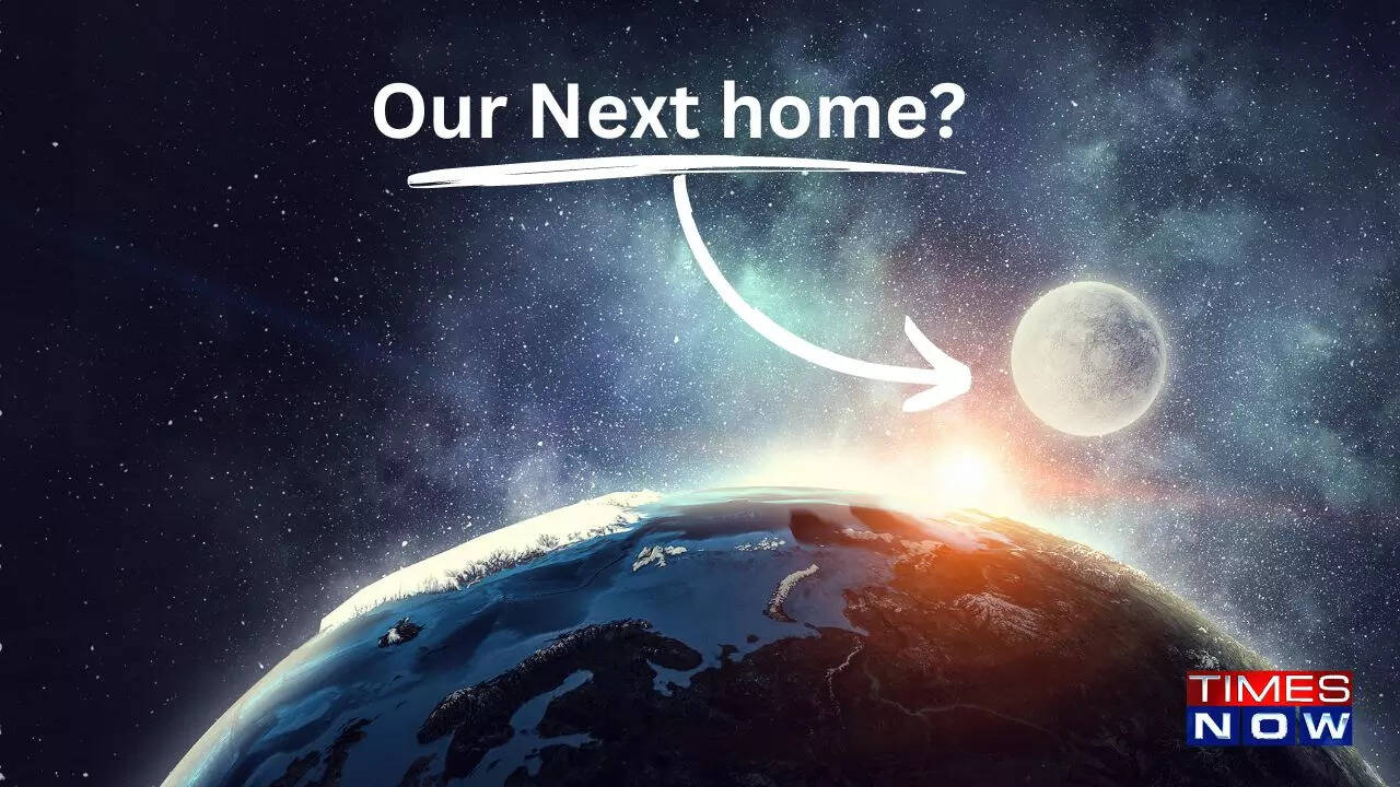 Could Our Next Home Be Just 4 Light Years Away? Astronomers find ...