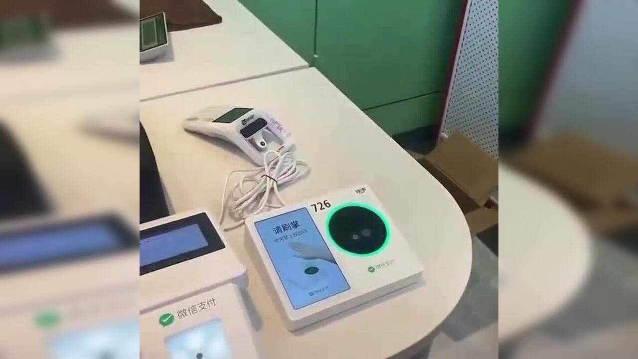 Wave And Pay: China Launches Payment System Based On Palm Scan, Store ...