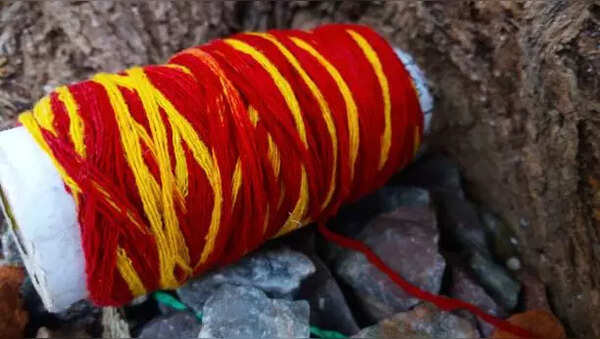 Kalawa Remedies: Tying Kalawa Around these Plants can Change Your Luck ...