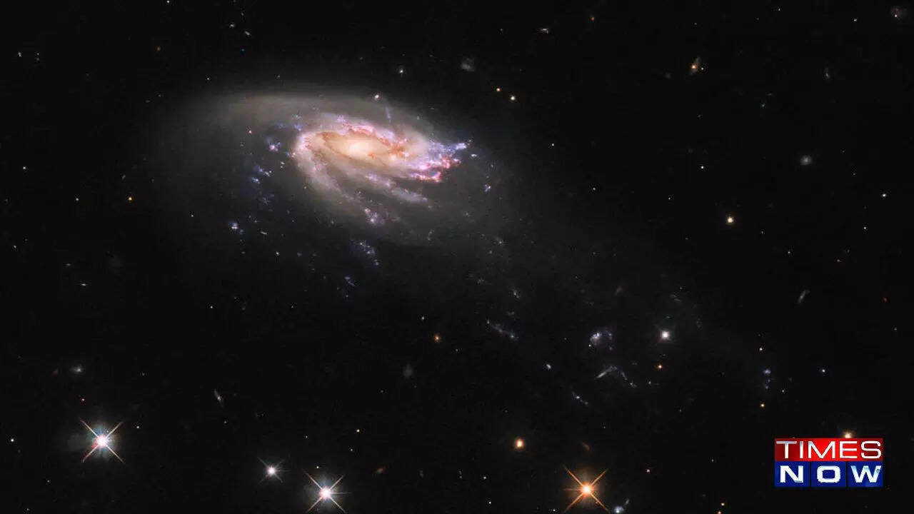 Hubble's Deep-Space Dive: Stunning Jellyfish Galaxy Unveils Star ...