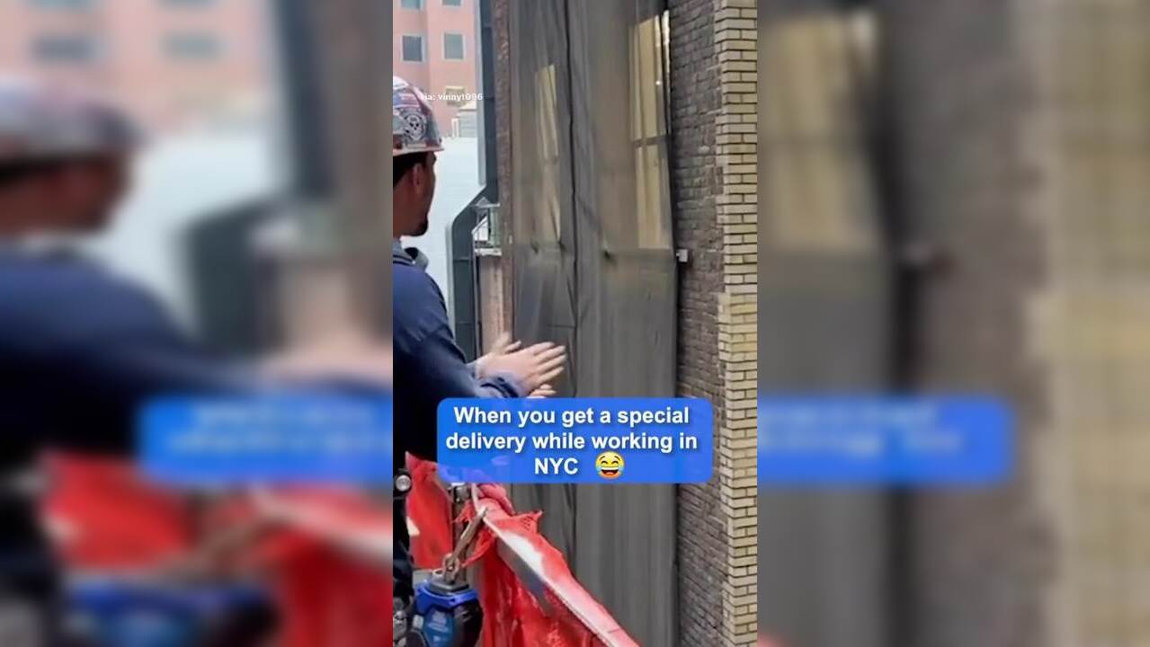Delivery Guy Throws Pizza Box From Window, Construction Worker Hanging ...
