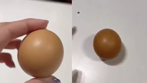 'One-in-a-billion' perfectly round egg could sell for Rs 78,000 ...
