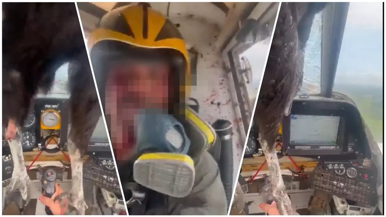 Viral Video: Pilot Covered In Blood Lands Plane Safely After Bird ...