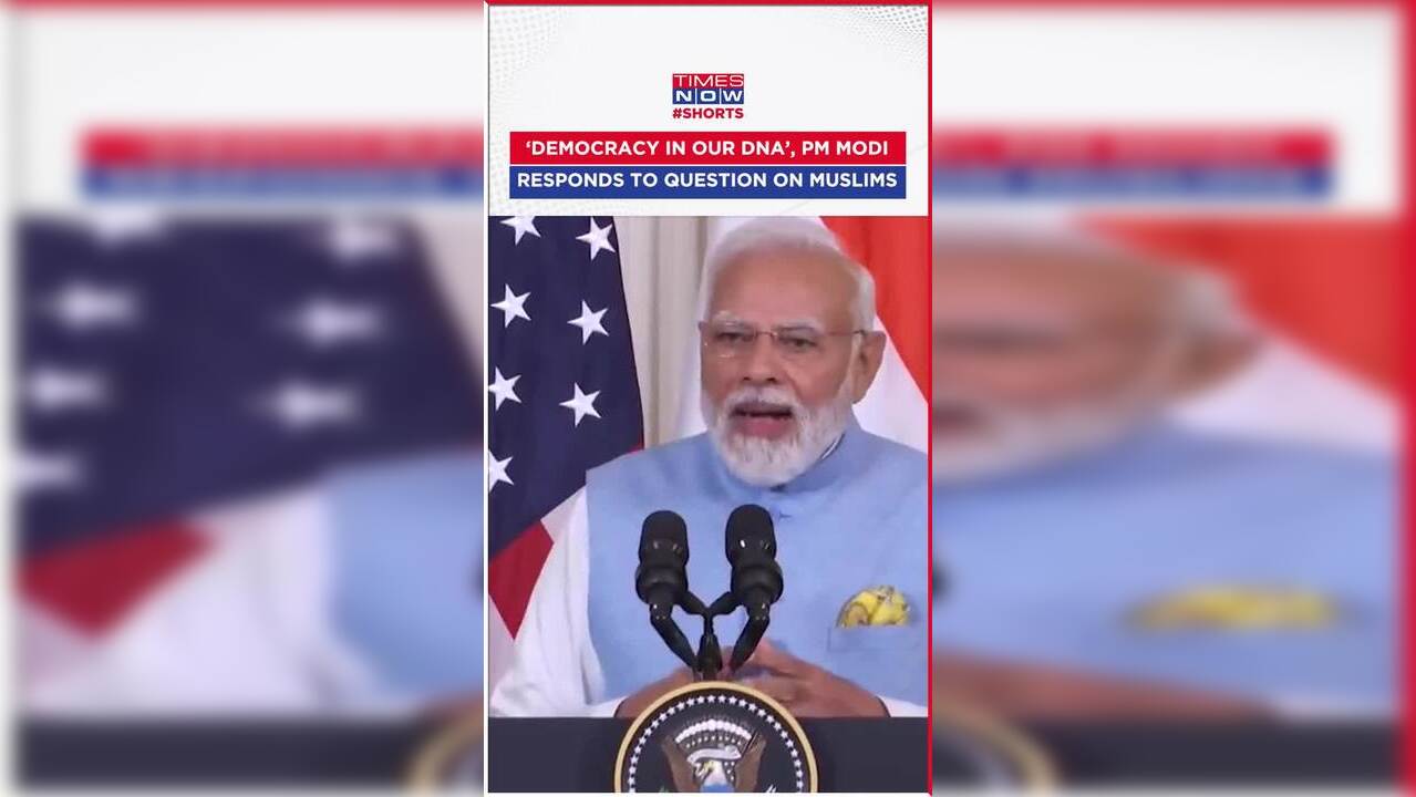 'Democracy...', What PM Modi Said On Minority Rights In India Question