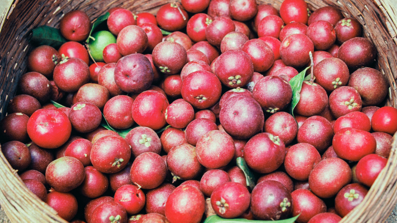 Kokum in Skincare | Nature's Radiant Secret | Lifestyle News, Times Now