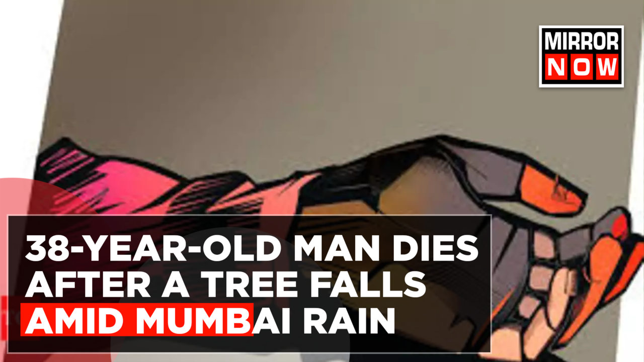 38-Year-Old Man Dies After 35 Feet Tall Tree Falls Amid Mumbai's Heavy ...