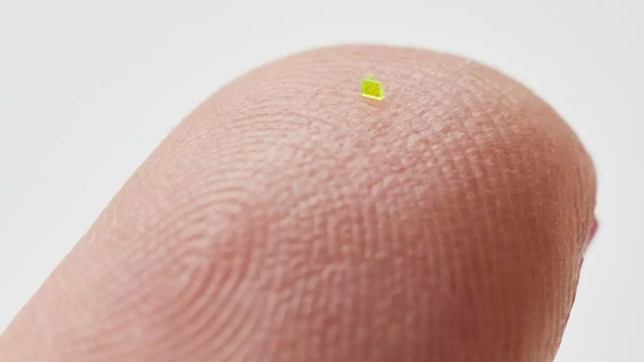 MSCHF's Microscopic ‘Louis Vuitton’ Handbag, Smaller Than Grain of Salt ...