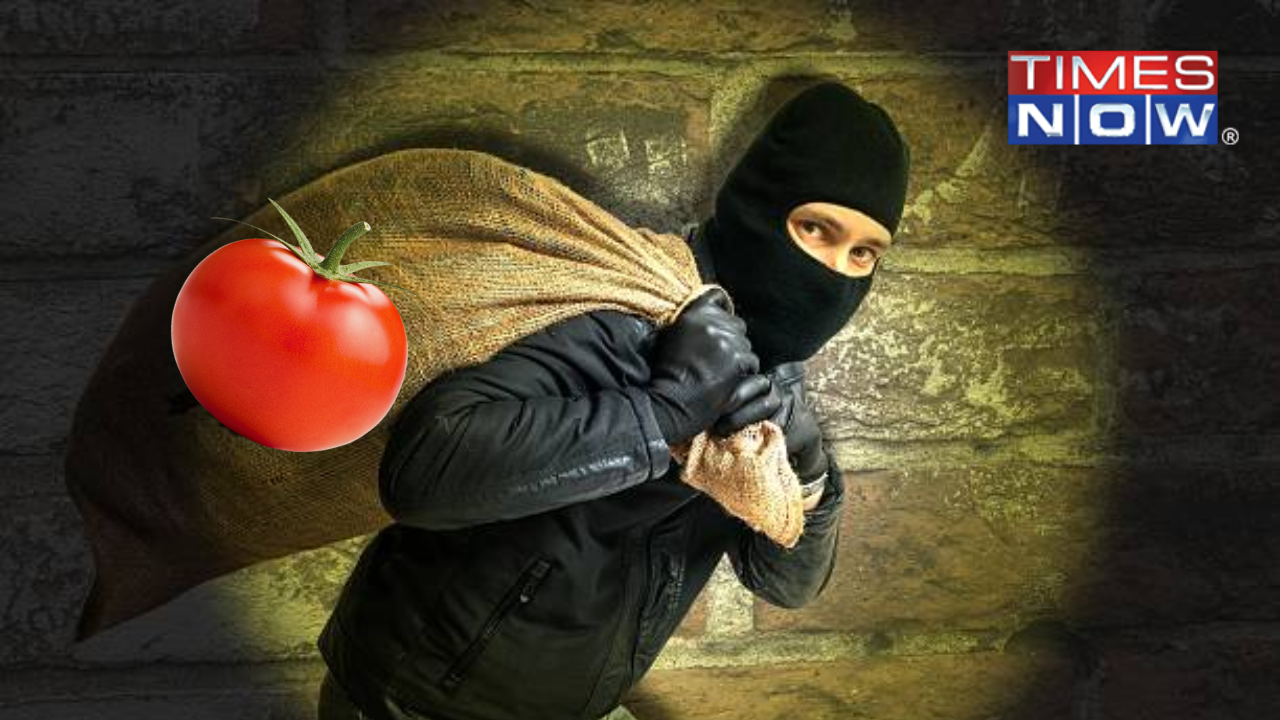 Skyrocketing Tomato Prices: Thieves Steal Tomatoes Worth Nearly Rs 3 Lakh From Karnataka Farm ...