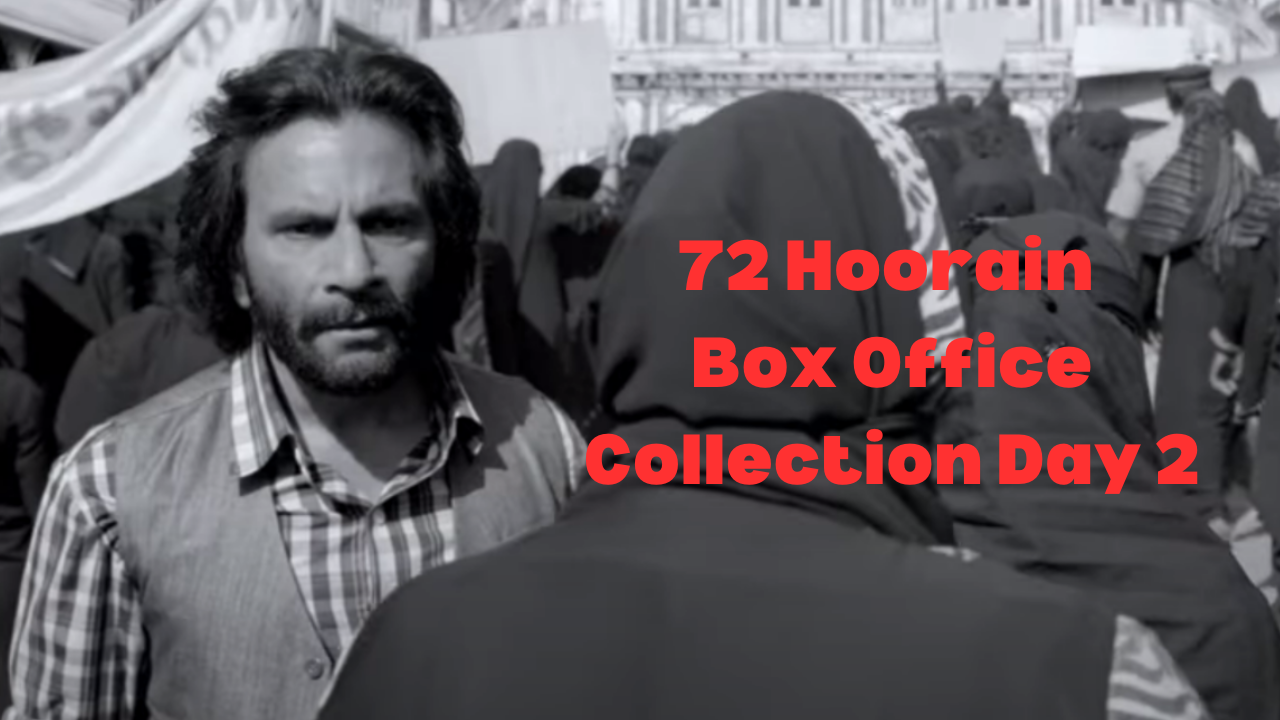 72 Hoorain Box Office Collection Day 2: Ashoke Pandit's Film Continues To STRUGGLE, Mints Less ...