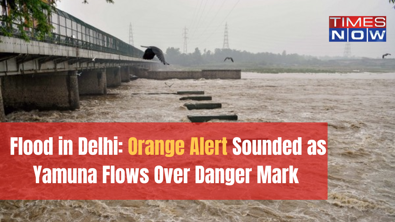 Flood Alert in Delhi: Rail Traffic Over the Old Yamuna Bridge ...