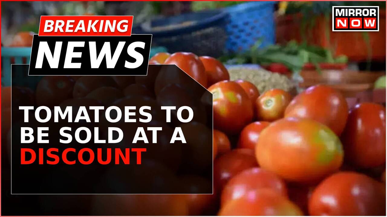 Breaking News | Procured Tomatoes To Be Distributed At Discount Prices ...