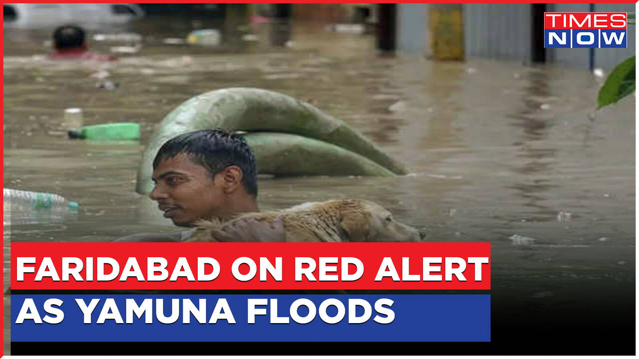 Yamuna Flood | Faridabad On Red Alert | Water Levels To Slowly Start To ... Yamuna Flood | Faridabad On Red Alert | Water Levels To Slowly Start To ...